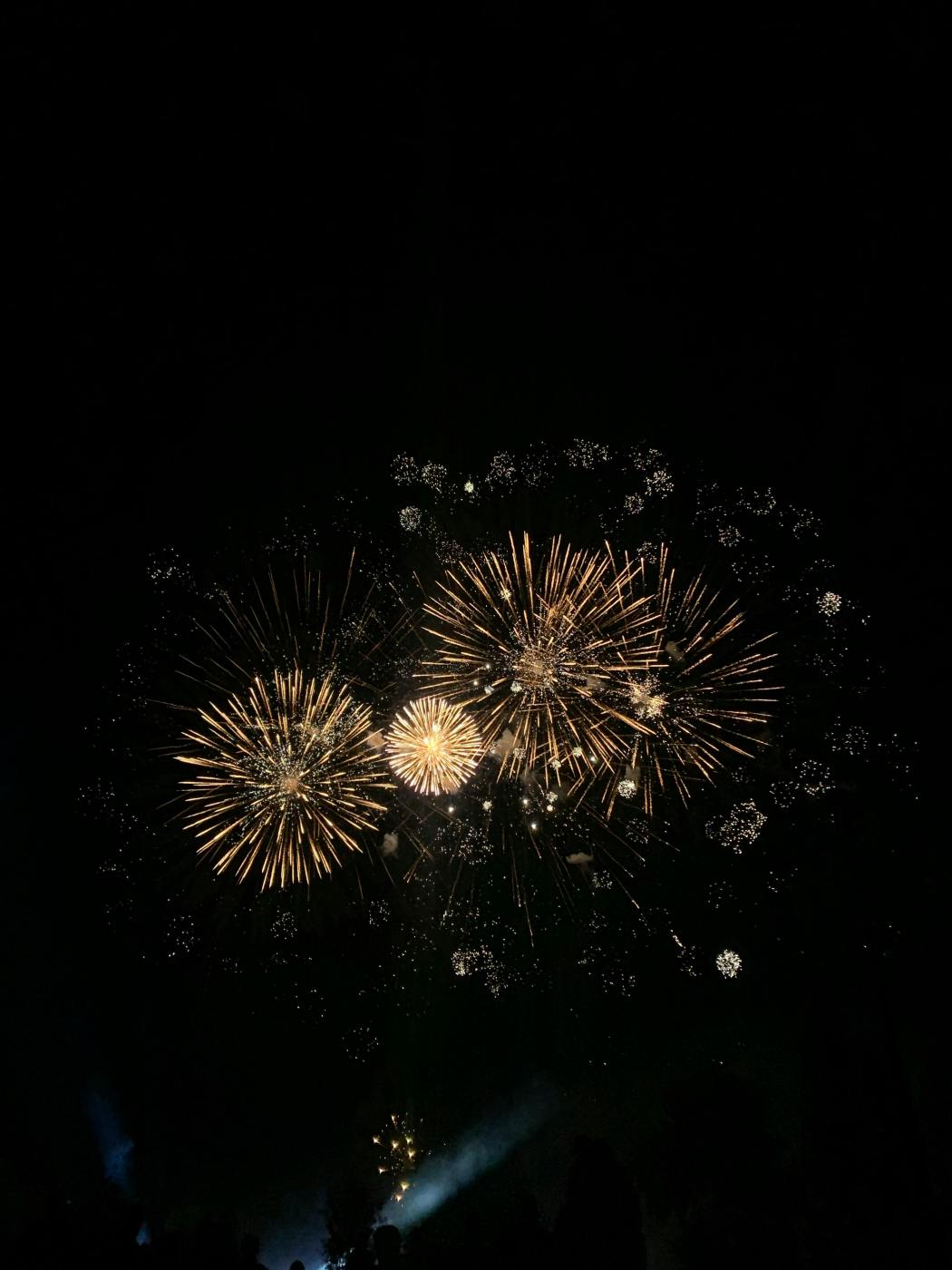 Firework Cruise - Broad Creek, SC | Island Head